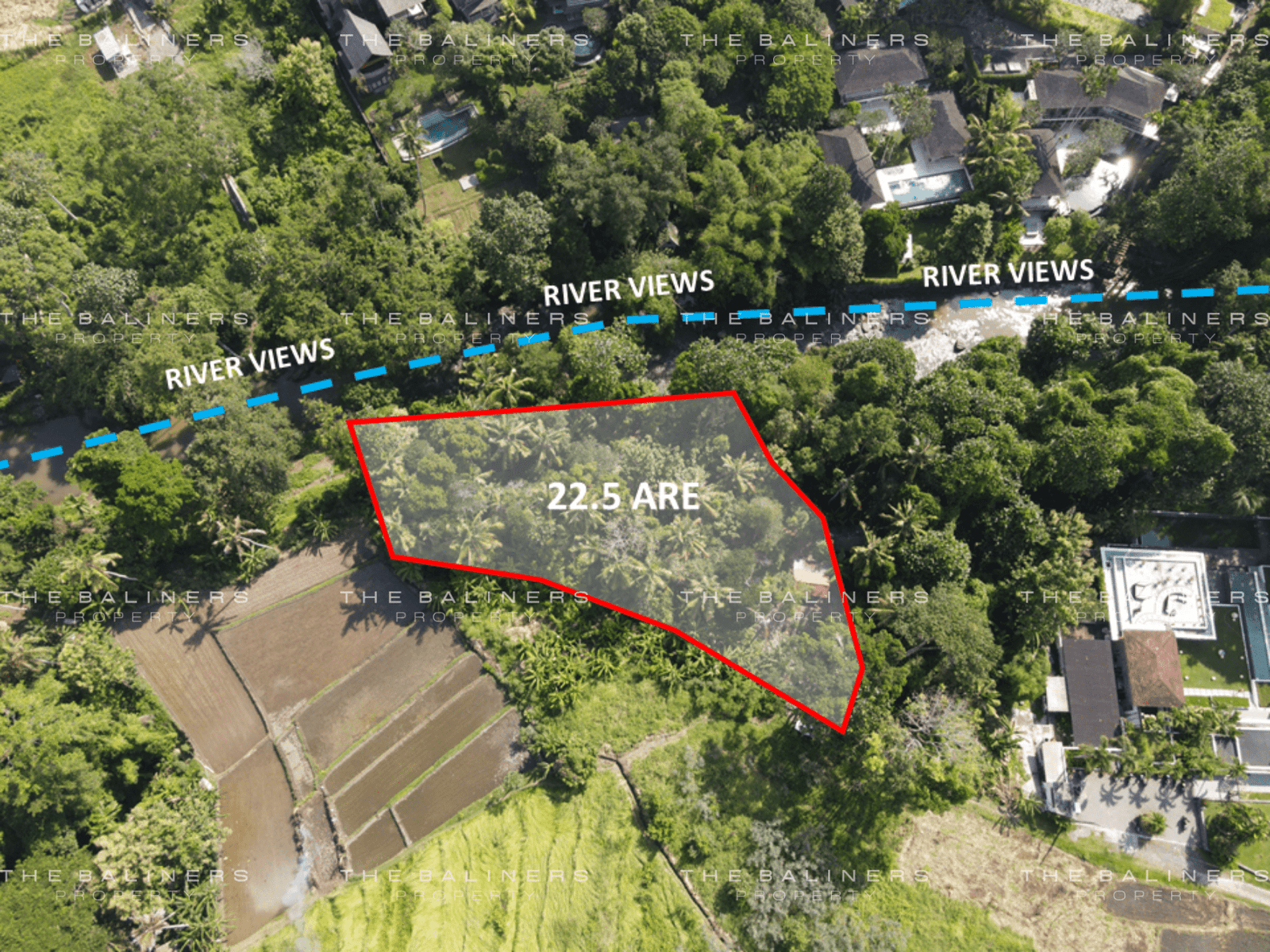 ENCHANTING LEASEHOLD LAND IN BUWIT: A COVETED OPPORTUNITY – The Baliners