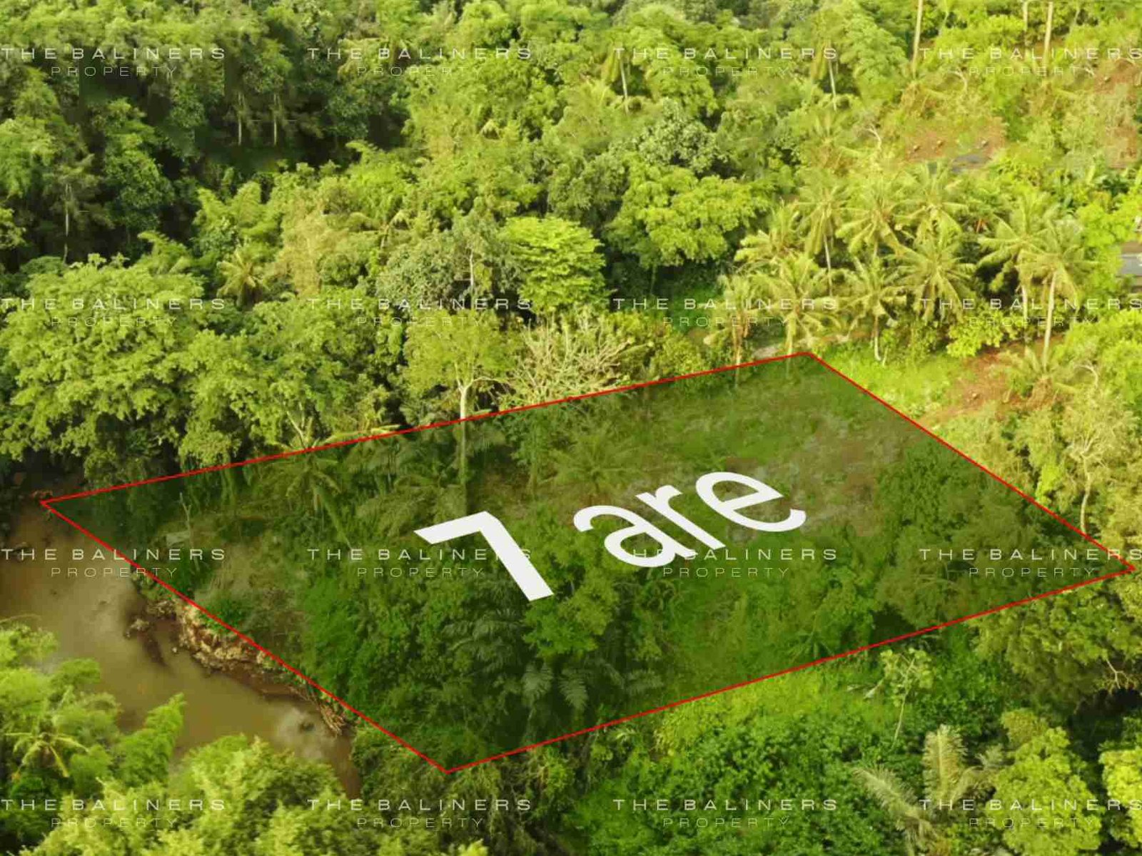 SPACIOUS RESIDENTIAL LAND WITH JUNGLE AND RIVER VIEWS IN BUWIT, TABANAN ...
